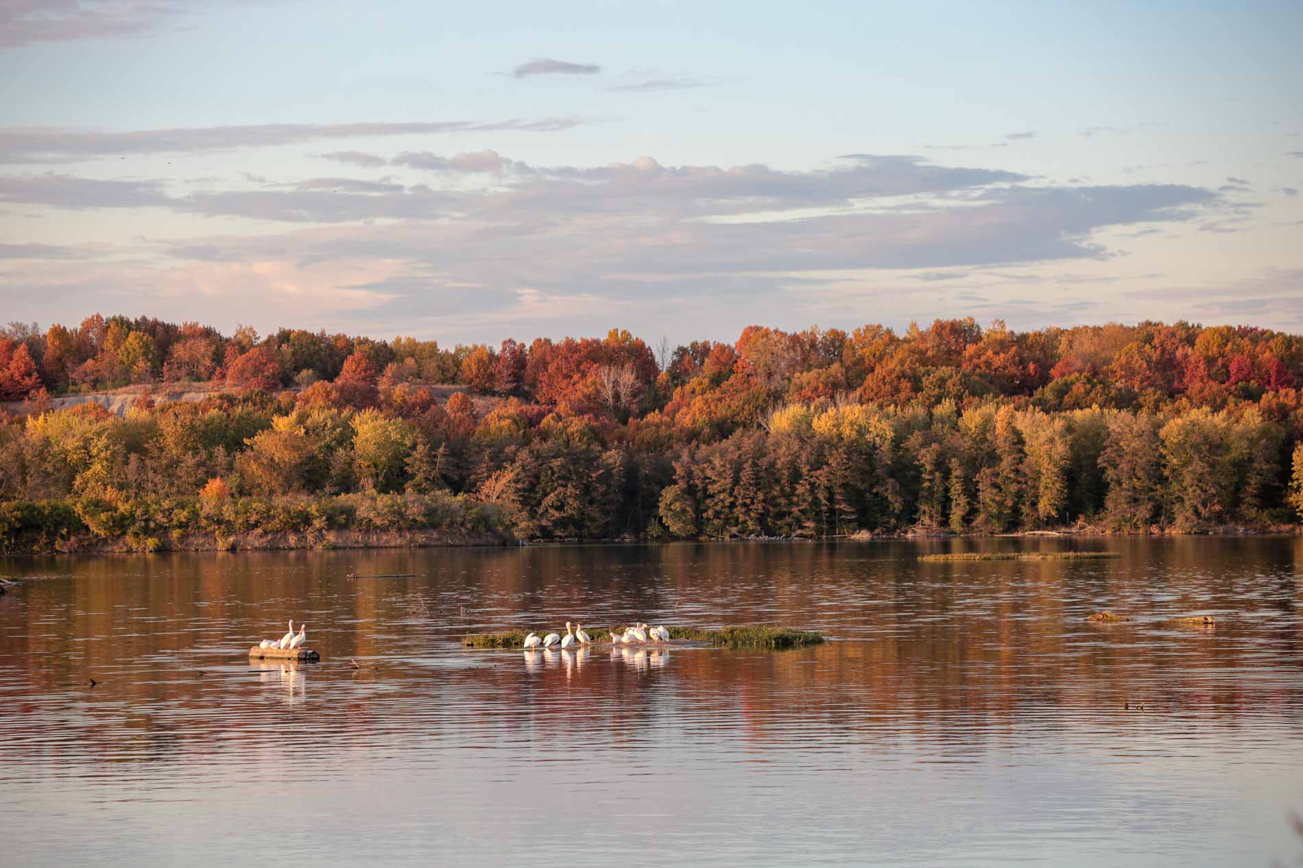 Thanksgiving by the Harbor: Special Ways to Celebrate at Harbor Inn ...